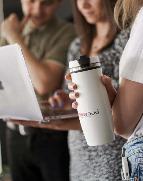 Outsource Software Development Company - Lionwood